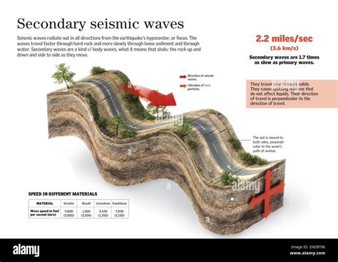 Seismic Waves Cut Out Stock Images And Pictures Alamy