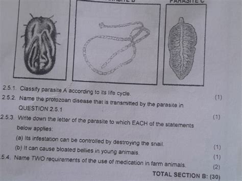 251 Classify Parasite A According To Its Studyx