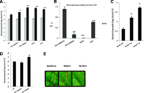 Pattern And Effector Triggered Immunity Pti And Eti Respectively In Download Scientific