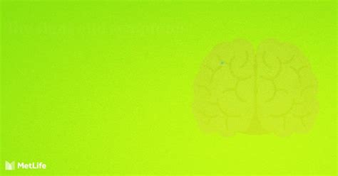 Video Mohammad Hamdan On Linkedin For More Information Contact Number 0777331993