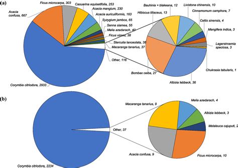 Pie In Pie Charts Depicting The Frequency Of Tree Species Of A The Download Scientific Diagram
