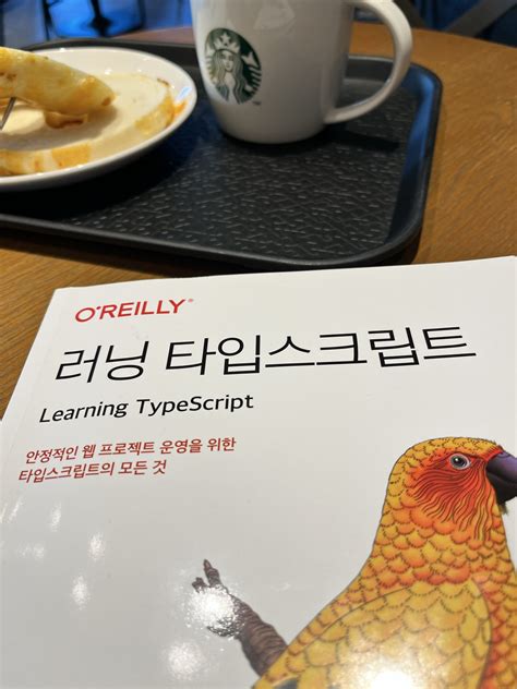 웹 개발 공부 자바스크립트를 넘어 타입스크립트를 공부할 때 꼭 봐야 하는 책 러닝 타입스크립트 도서 리뷰