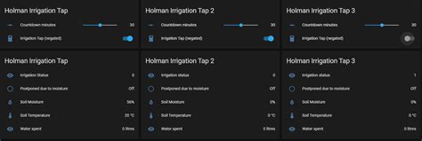 Holman Wifi Tap Timers Intergration Configuration Home Assistant