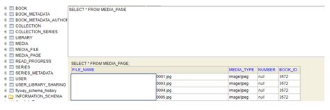 Bug Migration Failed Issue Gotson Komga Github
