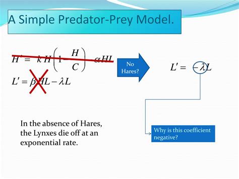 Ppt Differential Equations Modeling Powerpoint Presentation Free
