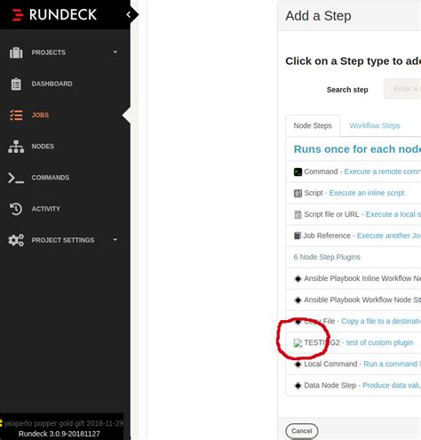 Missing Icon In Custom Plugin · Issue 4298 · Rundeckrundeck · Github