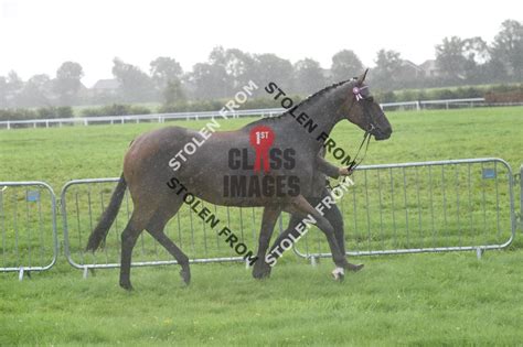 Ab63718 2023 1st Class Images