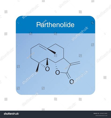 Parthenolide Skeletal Structure Diagramsesquiterpene Compound Molecule Stock Vector Royalty