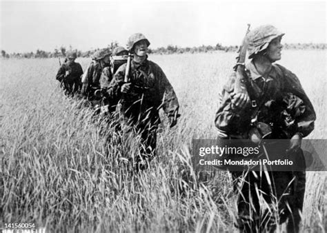 Prut River Photos And Premium High Res Pictures Getty Images