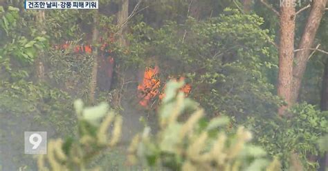 바람 따라 도깨비불산불 키운 건조·강풍