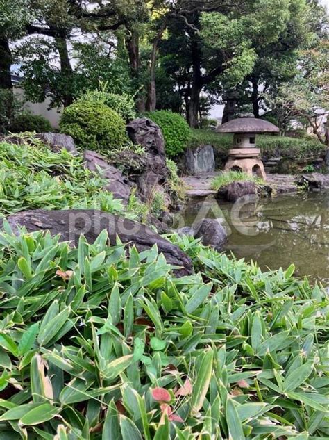 日本庭園 No 25103465｜写真素材なら「写真ac」無料（フリー）ダウンロードok