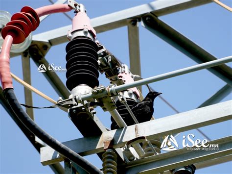 СЭРЭМЖЛҮҮЛЭГ Ачааны автомашины тэвш өндөр хүчдэлд хүрсний улмаас жолооч амиа алджээ Isee Mn