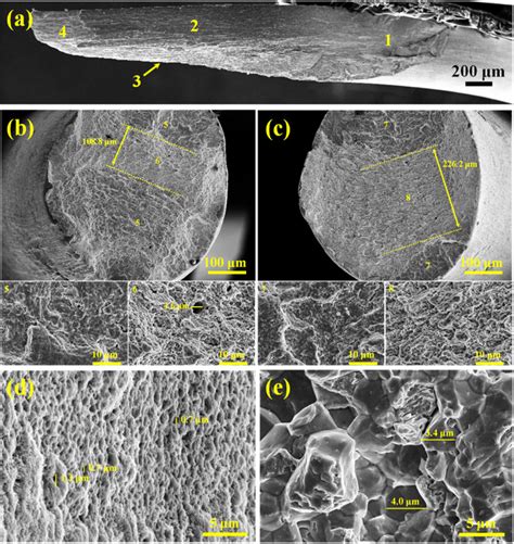 The Morphology Of Fracture Surfaces A Original Spring B Sample 1 Download Scientific