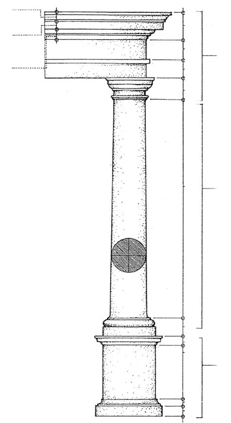 Parts Of A Column Diagram Quizlet