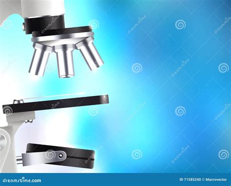 Objective Lenses Of A Microscope Light Microscope Stage And Lenses