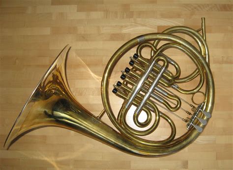 Horn Musical Instrument Characteristics At Edith Drum Blog