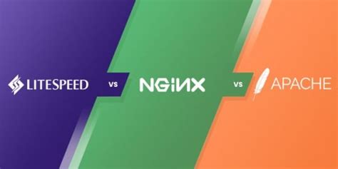 Litespeed Vs Nginx Vs Apache Which Web Server Is The Best