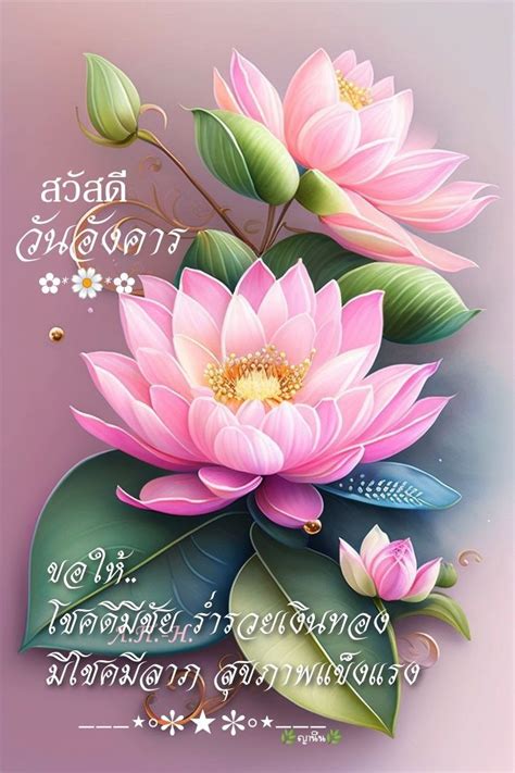 วันอังคาร🌿💞