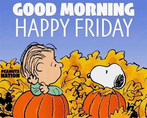 Pin By Ruthann Mccoy On Charlie Browns Gang Snoopy Friday Snoopy