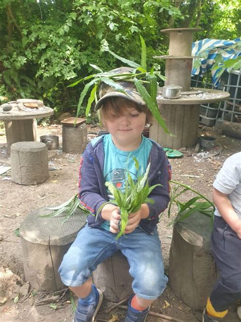 Fairy And Nymph Wings Village Schools Partnership Blog