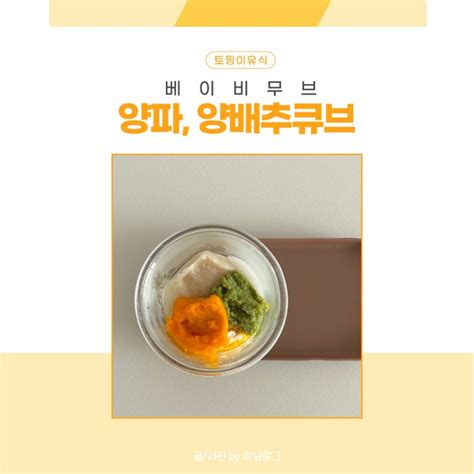 베이비무브로 만드는 초기 토핑이유식 양파큐브와 양배추큐브 만들기 Ft 토핑이유식 해동방법 네이버 블로그