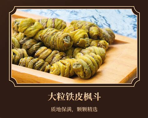 浙江健九鹤集团有限公司官方网站