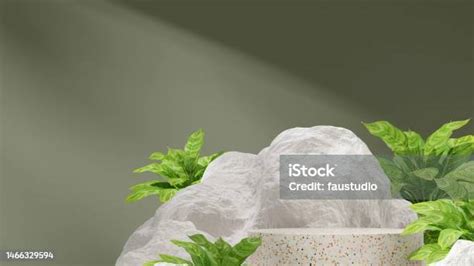 3d 렌더링 테라조 텍스처 연단의 빈 공간 중국 상록수와 흰색 바위가 있는 풍경 0명에 대한 스톡 사진 및 기타 이미지 0명 3차원 형태 강단 Istock