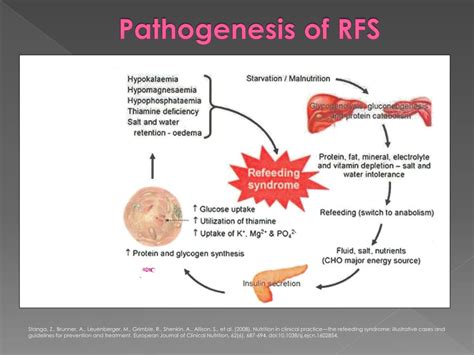 Ppt Starvation And Refeeding Syndrome Powerpoint Presentation Free
