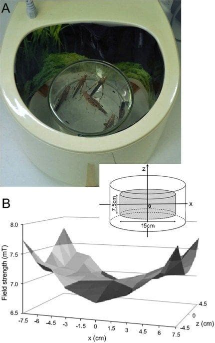 Exposure To Extremely Low Frequency Electromagnetic Fields Alters The Behaviour Physiology And