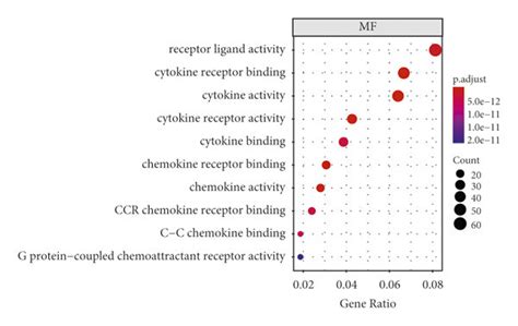 Functional Annotation Of The Common Degs A Biological Process Go Download Scientific Diagram