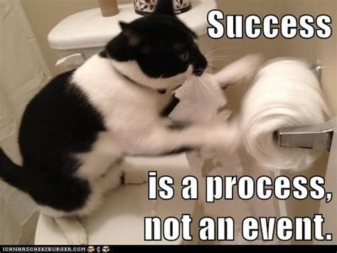 Success Cat Meme