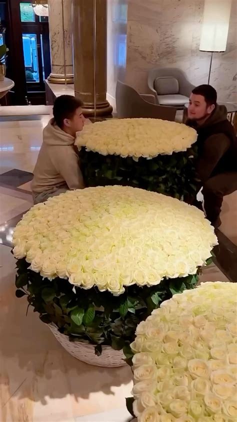 ЦВЕТЫ МОСКВА Ответь пожалуйста 🥰 605 роза Instagram