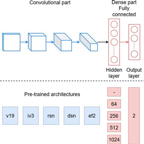 The Cnn Basic Architecture Scheme Top And Architectures Evaluated For Download Scientific