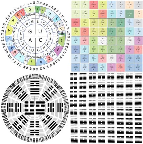I Ching The Oracle Benebell Wen