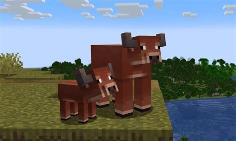 Complete Guide To Minecraft Cow Variants And Their Locations
