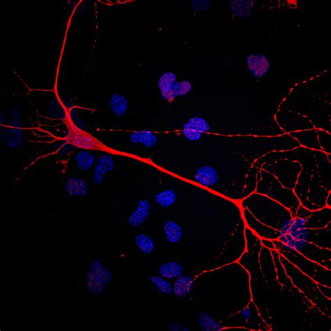 Nanoscience Laboratory Kick Off Meeting Eventi Unitn