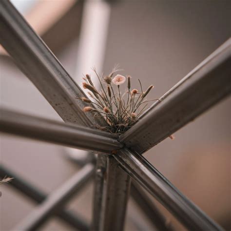 Urban Form → Term