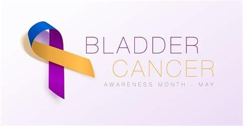 방광 암 인식 서 예 포스터 디자인 현실적인 마리 골드와 파란색과 보라색 리본 5 월은 암 인식의 달입니다 벡터 리본에 대한 스톡 벡터 아트 및 기타 이미지 Istock