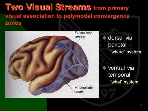 Clinical School Services Ppt Video Online Download