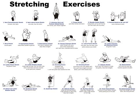 24 Morning Stretch Routine For Athletes Equitment Absworkoutchallenge