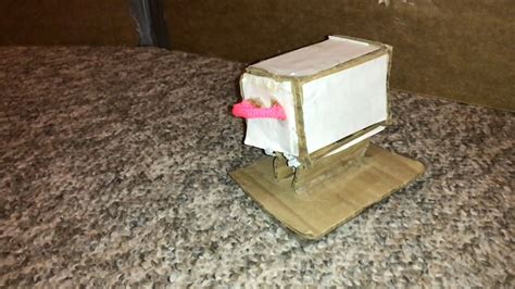 My Sweet Rat Egg Practicing One Of Her Favorite Tricks That Being Her Fetch The Mail Trick