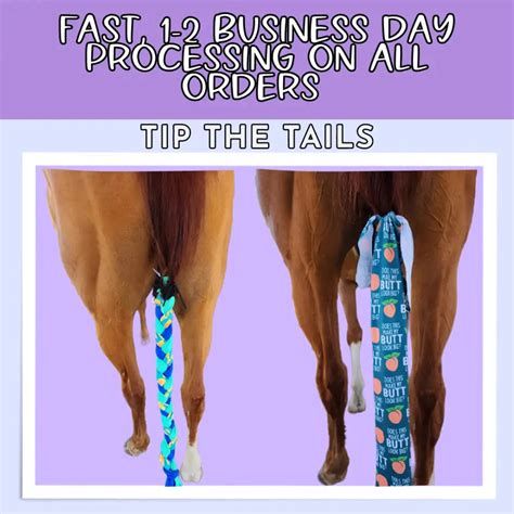 Mlp Equine Tail Bag Tailbags For Horses And Pony Tail Protection Tail