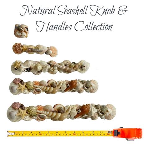 Natural Seashell Cabinet Handlespulls And Knobs Etsy Nautical