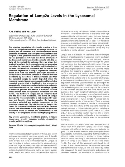 Traffic 2002 Cuervo Regulation Of Lamp2a Levels In The Lysosomal Membrane Pdf
