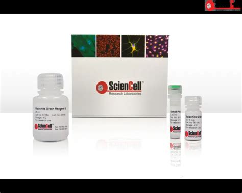 Malachite Green Phosphate Assay Mgpa