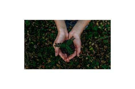 How Production Monitoring Software Can Improve The Sustainability Of Your Production Mdcplus