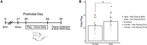 The Transcriptome Of Playfulness Is Sex Biased In The Juvenile Rat