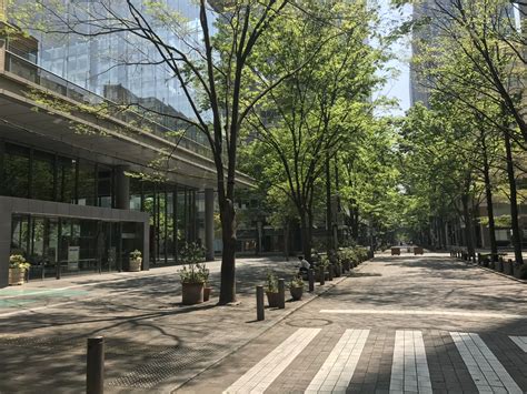丸の内仲通り 日本最大級のsns映え観光情報 スナップレイス