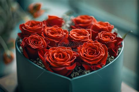 파란색 선물 상자에 장미 사진 무료 다운로드 Lovepik