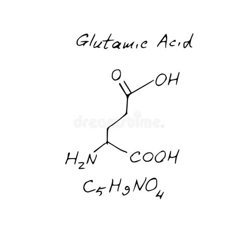 Glutamine Acid C5h9no4 Molecule Formula Hand Drawn Imitation Of Glutamine Structural Model